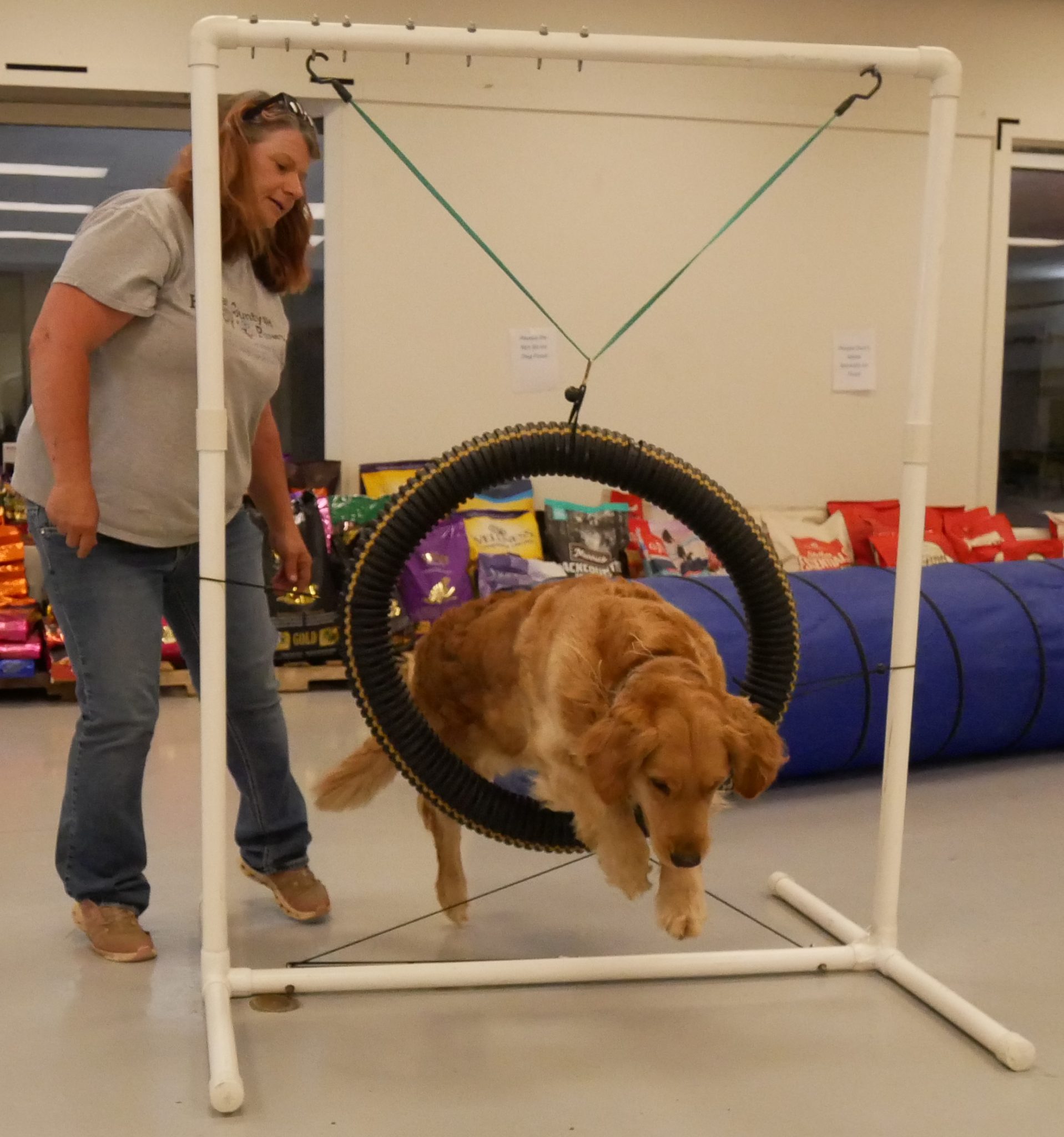 Understanding dog and human: Shelly Pinnt’s bond with animals helps to ...