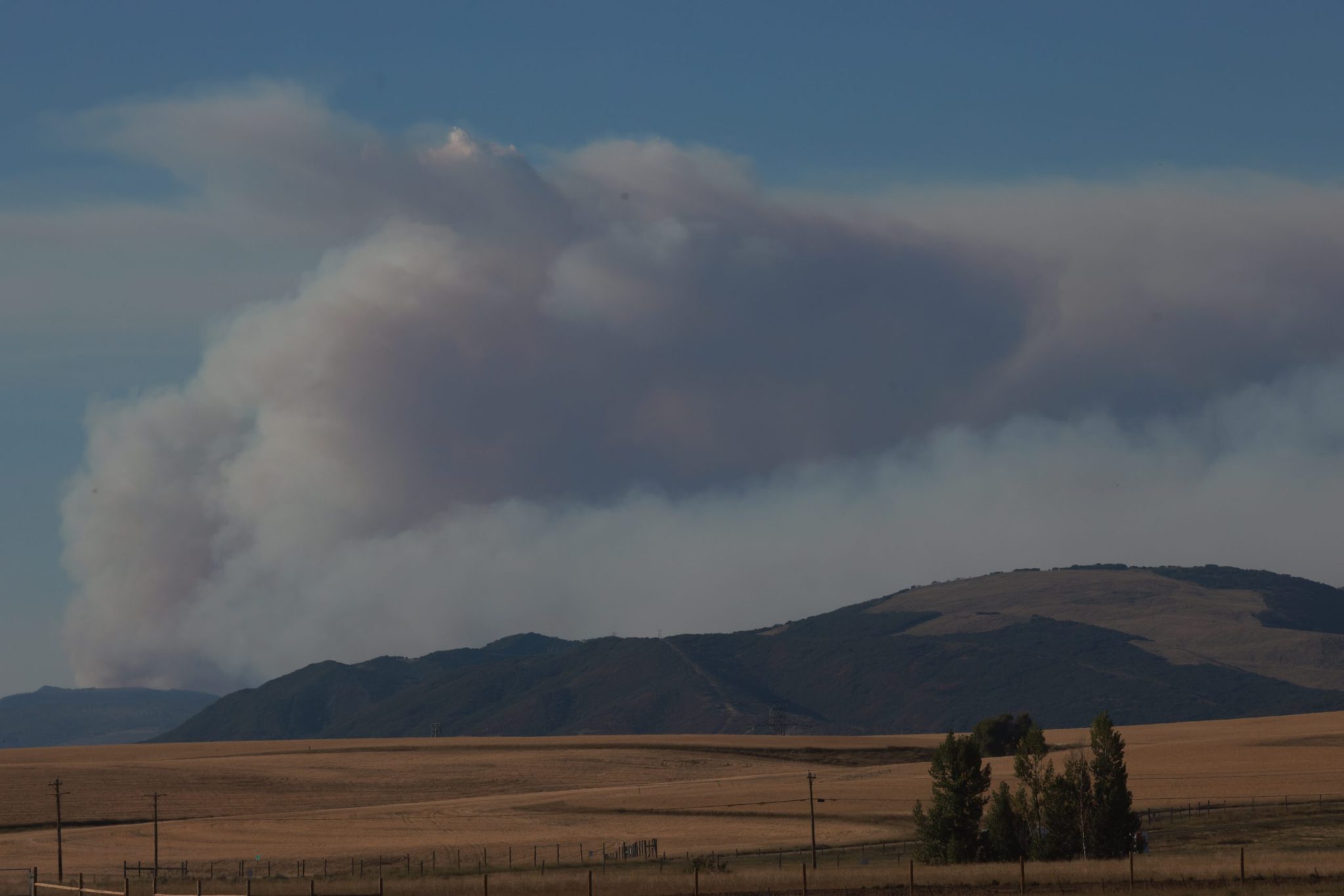 Crosho Fire spreads to 300 acres Tuesday; evacuation zones established ...