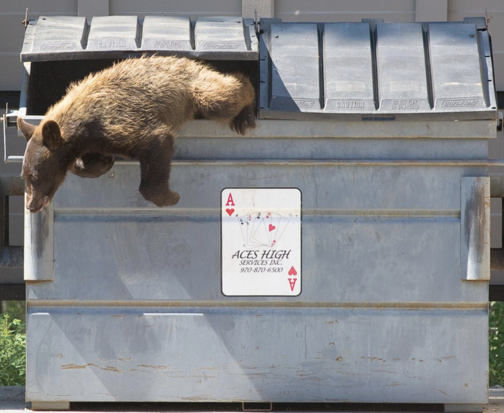 Colorado Gov. Jared Polis signs bills aimed at wildlife safety, outdoor ...