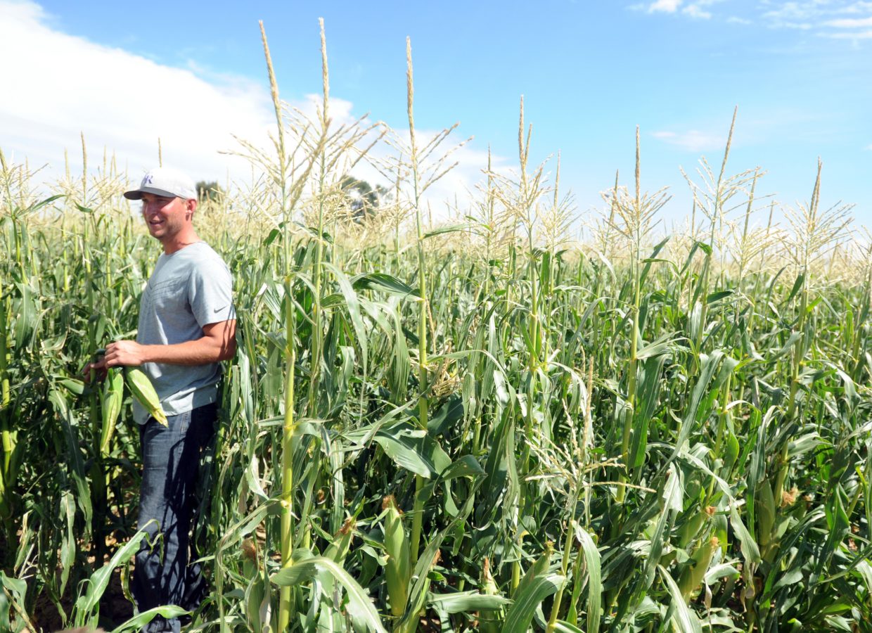 How sweet it is: Eaton’s Leffler family revives sweet corn stand for ...