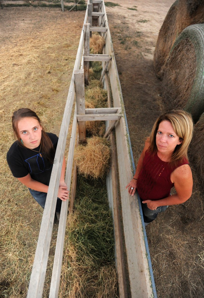 Grand decline: Oil and gas, commodity prices decrease seen at fair ...