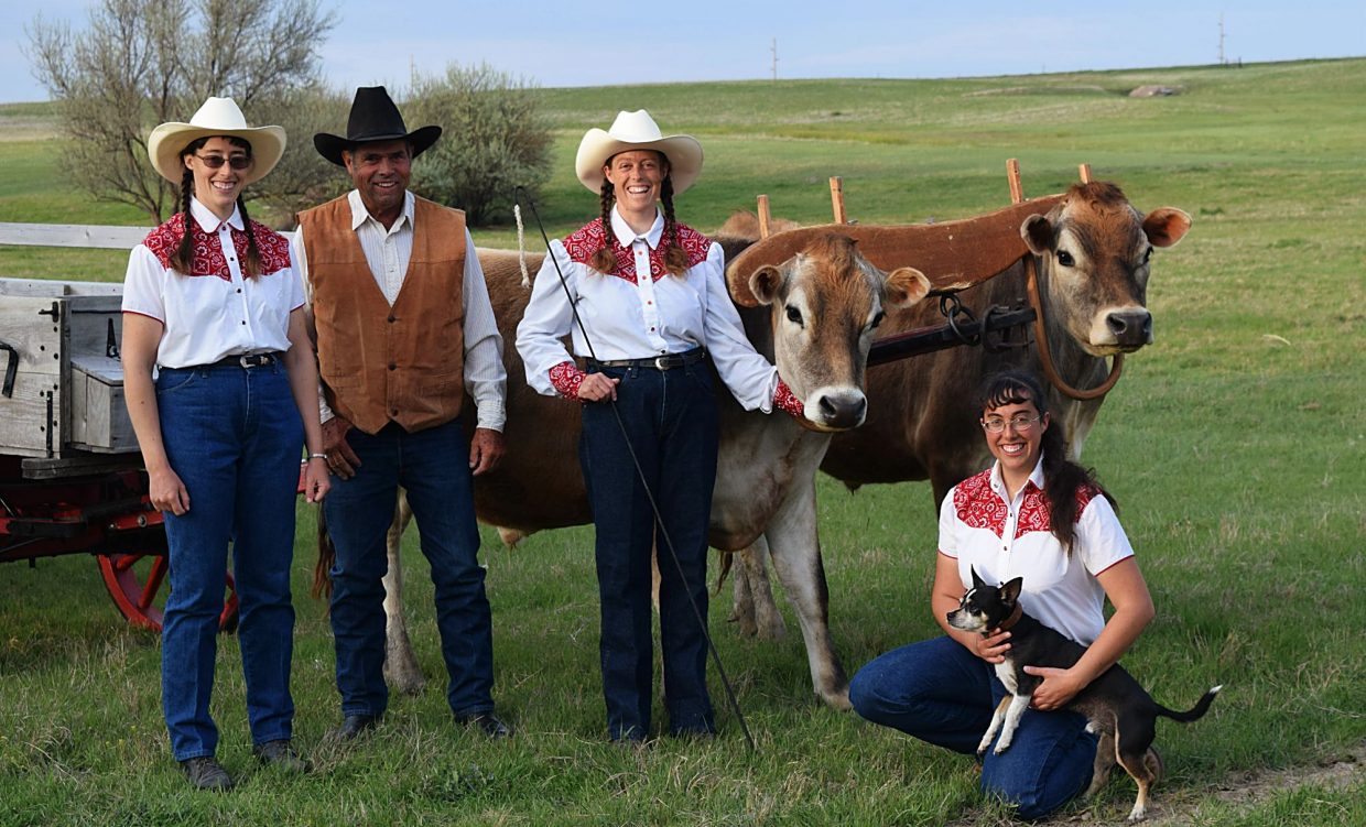 Family utilizes oxen for ranching | TheFencePost.com