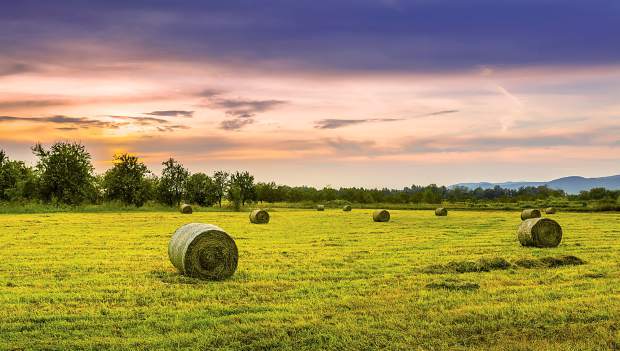 Denver-based real estate company works to help farmers in business, on ...