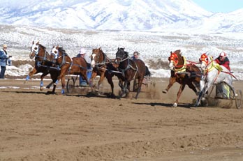 Many winners at Saratoga chariot races | TheFencePost.com