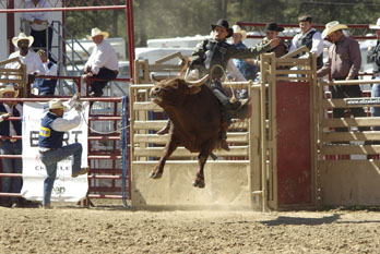 Jarrod Ford – Making a living | TheFencePost.com
