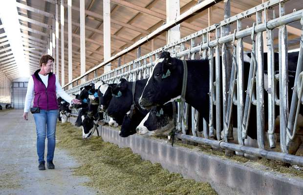 Fort Morgan dairy farmer Mary Kraft nears end of her term as first ...