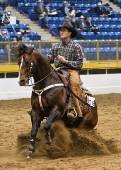 Mike Major and Smart Whiskey Doc win second Ranch Versatility World ...