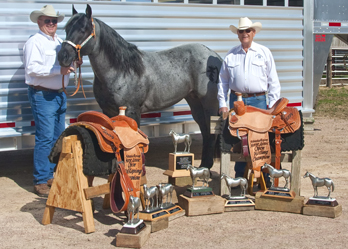 KeSa Quarter Horse Ranch invited to CSU Legends of Ranching Sale ...