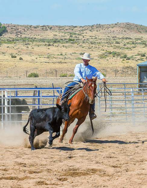 T-Cross Ranch’s horse division embraces changes, including introduction ...