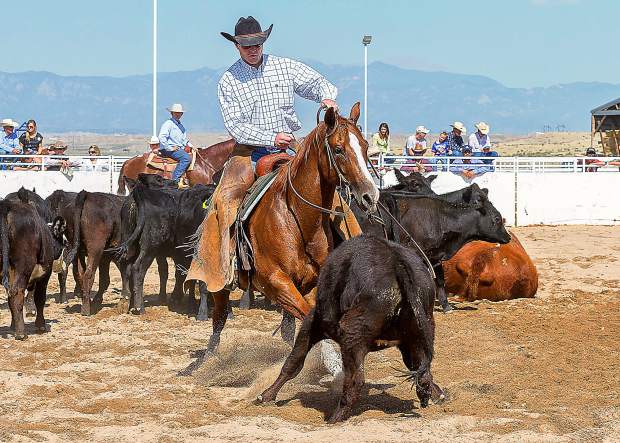 T-Cross Ranch’s horse division embraces changes, including introduction ...