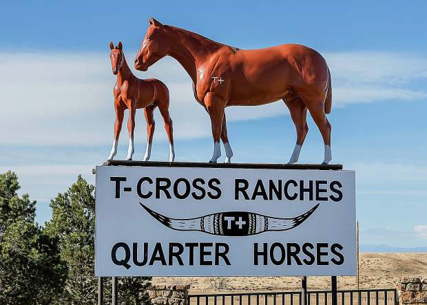 T-Cross Ranch’s horse division embraces changes, including introduction ...