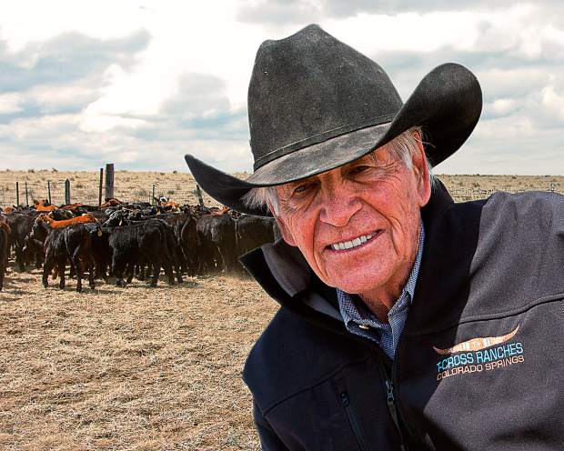 T-Cross Ranch’s horse division embraces changes, including introduction ...