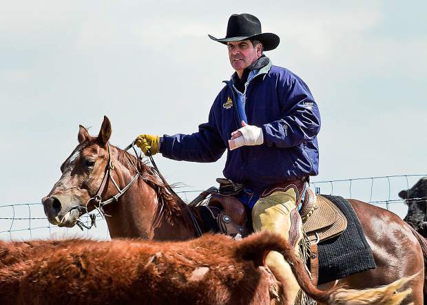 T-Cross Ranch’s horse division embraces changes, including introduction ...