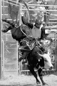 Elbert County Rodeo kicks its way into 2007 | TheFencePost.com
