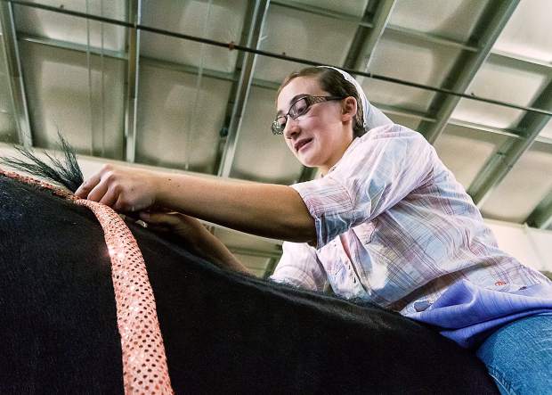 Big Thunder Draft Horses on display at The Ranch in Loveland ...