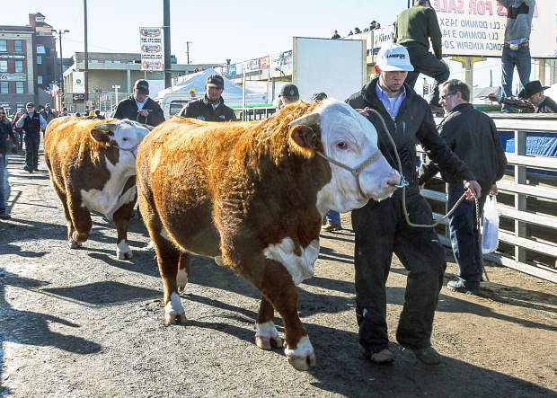 History and tradition make The Yards are an integral part of the ...