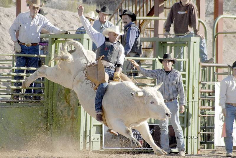 National Senior Professional Rodeo Association | TheFencePost.com