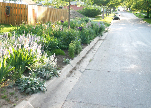 Curbside plantings are a gift to the neighborhood | TheFencePost.com