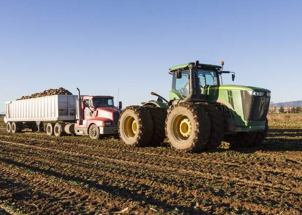 Northern Colorado sugar beet farmers racing the weather to finish the ...