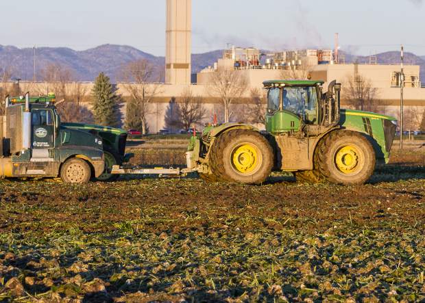 Northern Colorado sugar beet farmers racing the weather to finish the ...