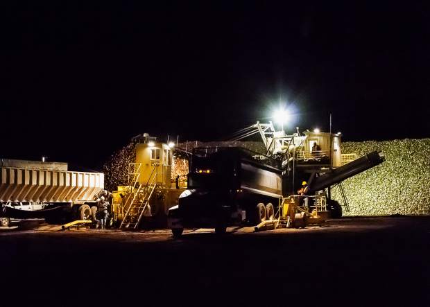 Northern Colorado sugar beet farmers racing the weather to finish the ...