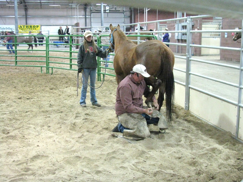 Farrier develops method of making hoof trimming a pleasant experience ...