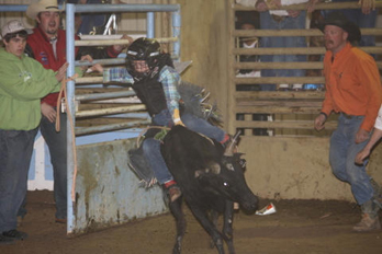 Miniature bulls give young riders a thrill | TheFencePost.com