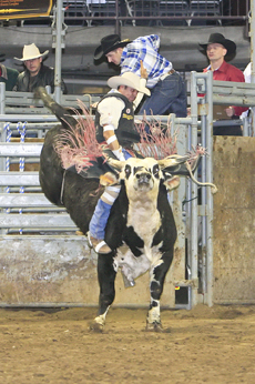 New Year’s Eve – Extreme Rodeo Fun at the Budweiser Event Center ...