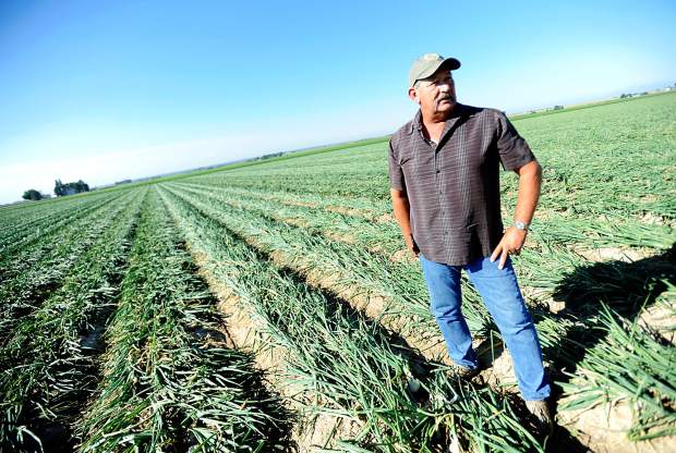 Eaton’s Rod Weimer wins national Farmer of the Year award for drip ...