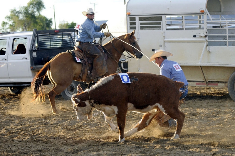 Little Rodeo on the Prairie | TheFencePost.com