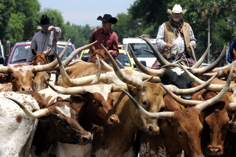 Rocky Mountain Ranch Rodeo | TheFencePost.com