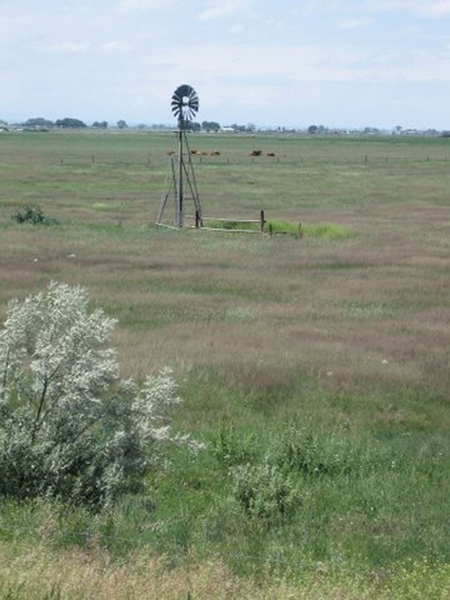 The Pawnee National Grasslands is a beautiful area to visit ...