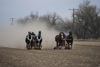 Chariot racing brings out competitiveness in Marvin Heyd | TheFencePost.com