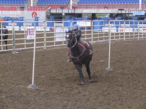 Slalom course | TheFencePost.com