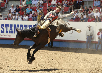 Greeley Stampede Championship Rodeo brings the heat | TheFencePost.com