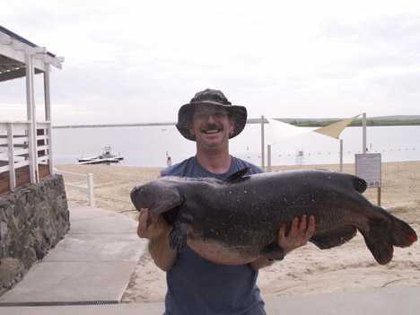 New Colorado state-record catfish caught at Aurora reservoir ...