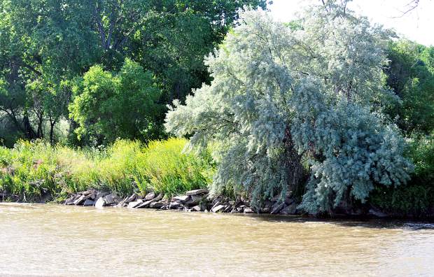 Northern Colo. farmers welcome study aimed at 80 billion gallon issue ...