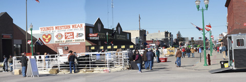 Valentine Bull Bash filled the streets in the heart of cow country ...