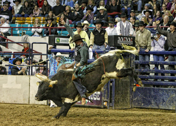 NWSS rodeo brings out the best | TheFencePost.com