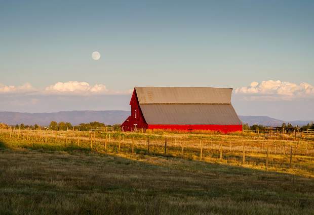 Showcasing Colorado agriculture through pictures | TheFencePost.com