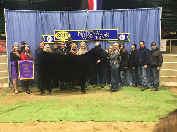National Western Angus show brings out emotions, attachment to breed ...