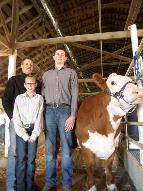 20th Annual Northern Exposure Steer and Heifer Show | TheFencePost.com