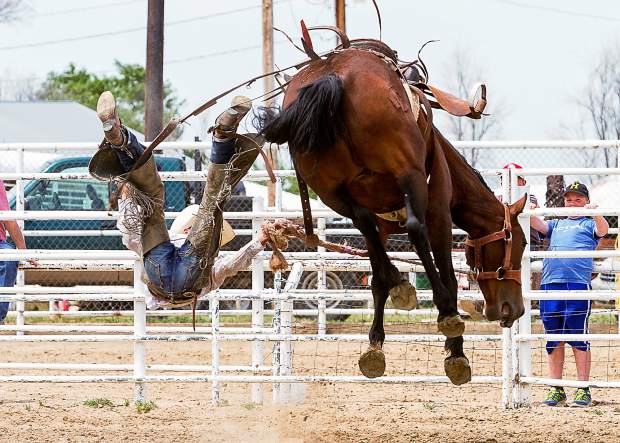 Sixth Annual Jeremiah Ward Memorial Bronc Ride brings big success to ...