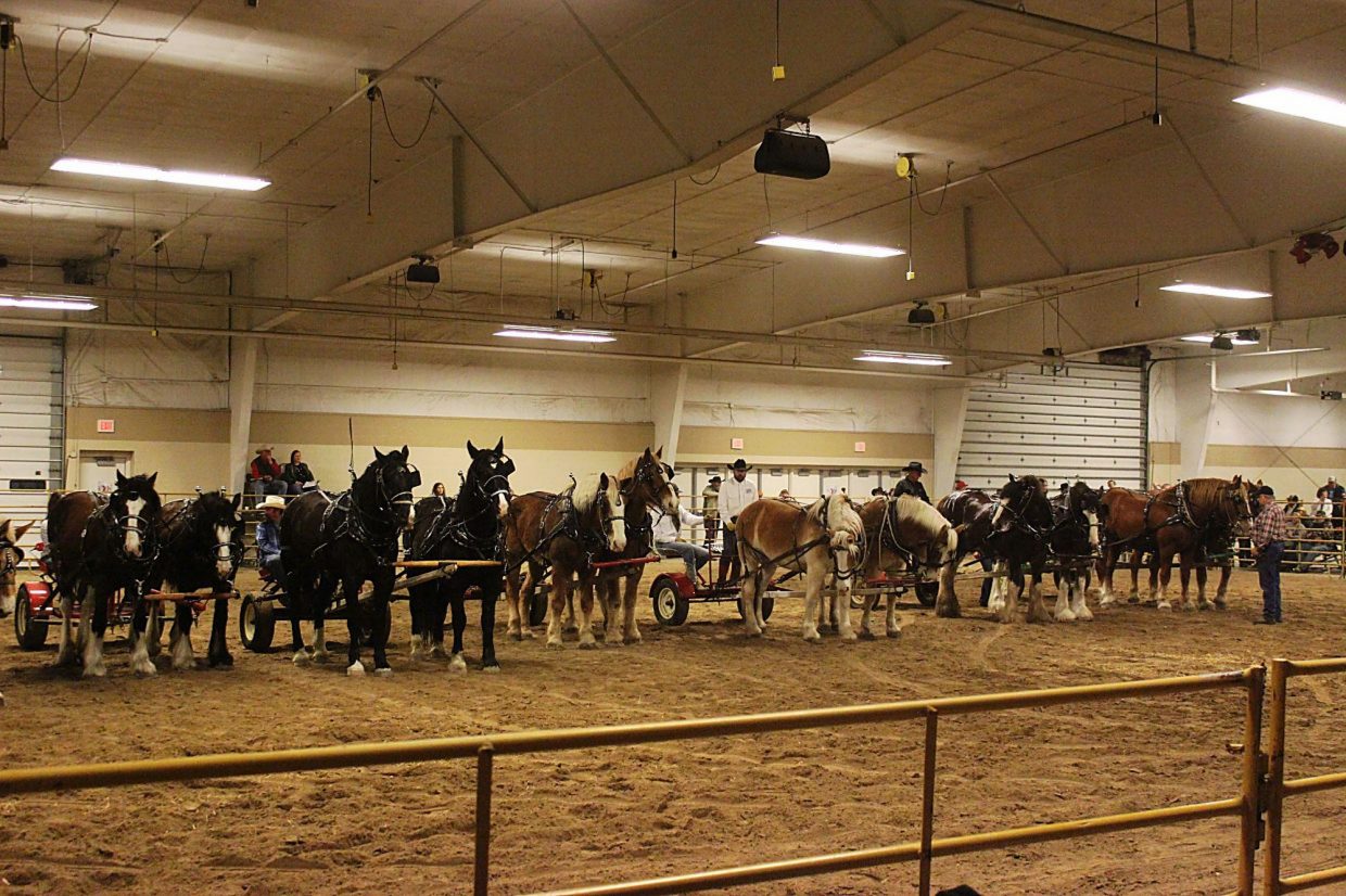 Nebraska Cattlemen’s Classic first Draft Horse Feed Team Race a crowd ...