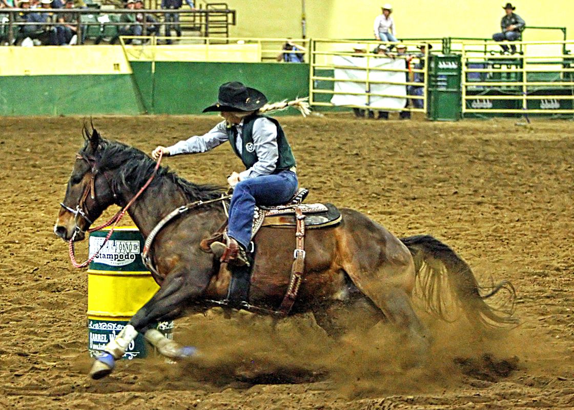 Colorado State University hosts annual Skyline Stampede Rodeo ...