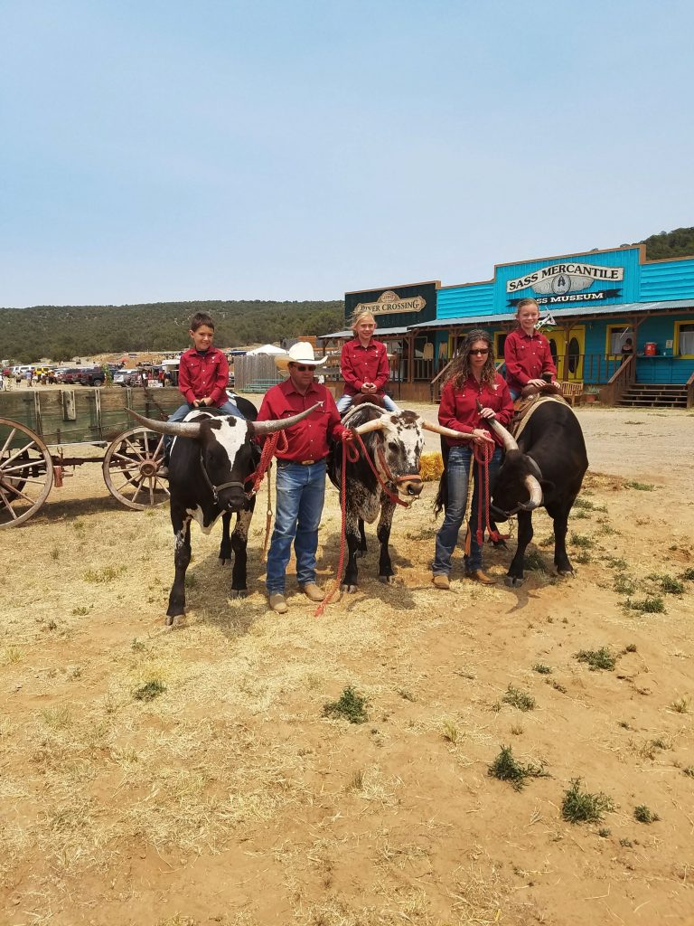 Oklahoma couple breeds longhorns for riding | TheFencePost.com