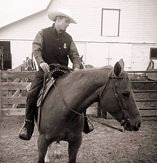 Colorado woman loses cattle to modern day rustler | TheFencePost.com