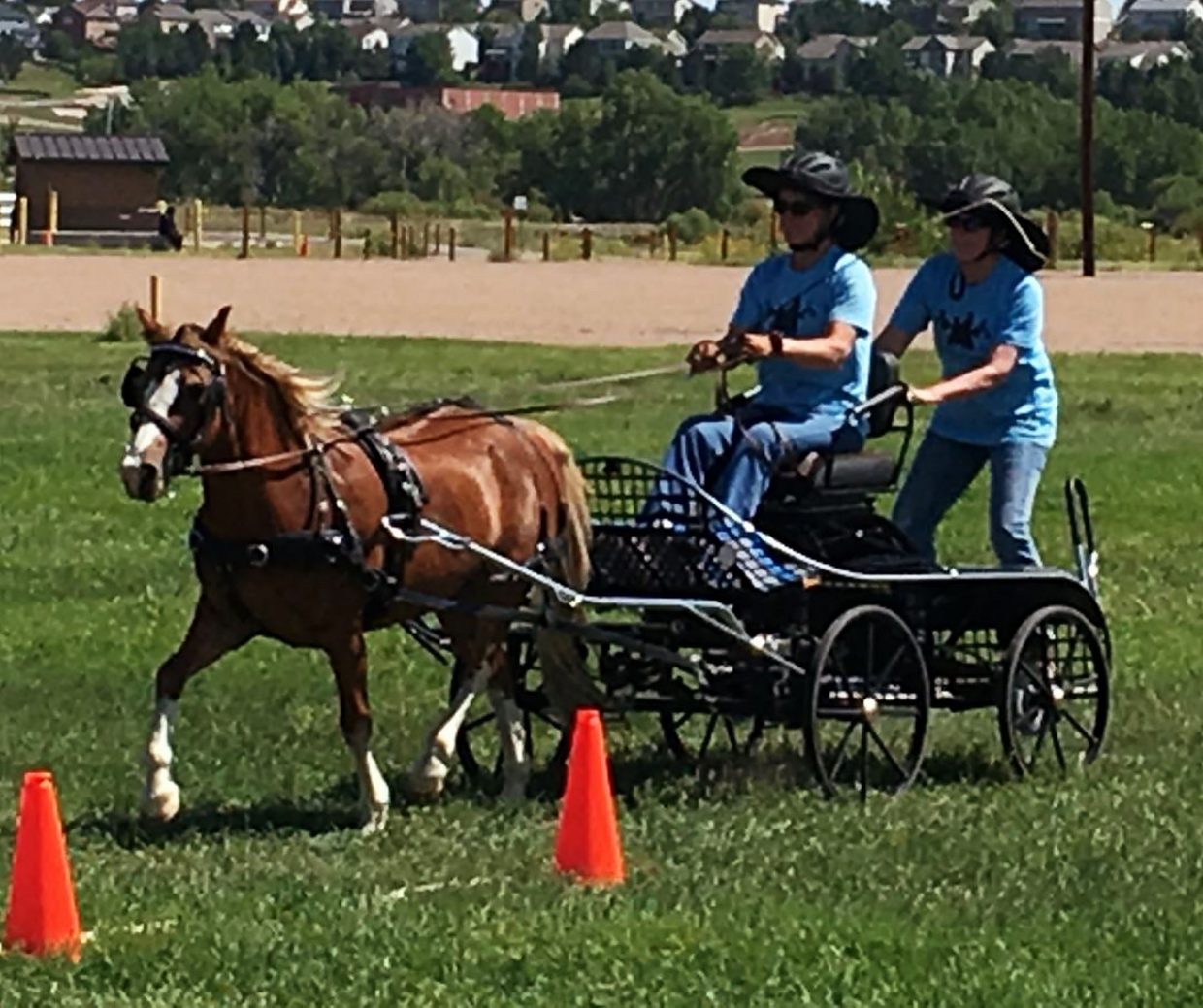 National Combined Driving event to be held at the Colorado Horse Park ...