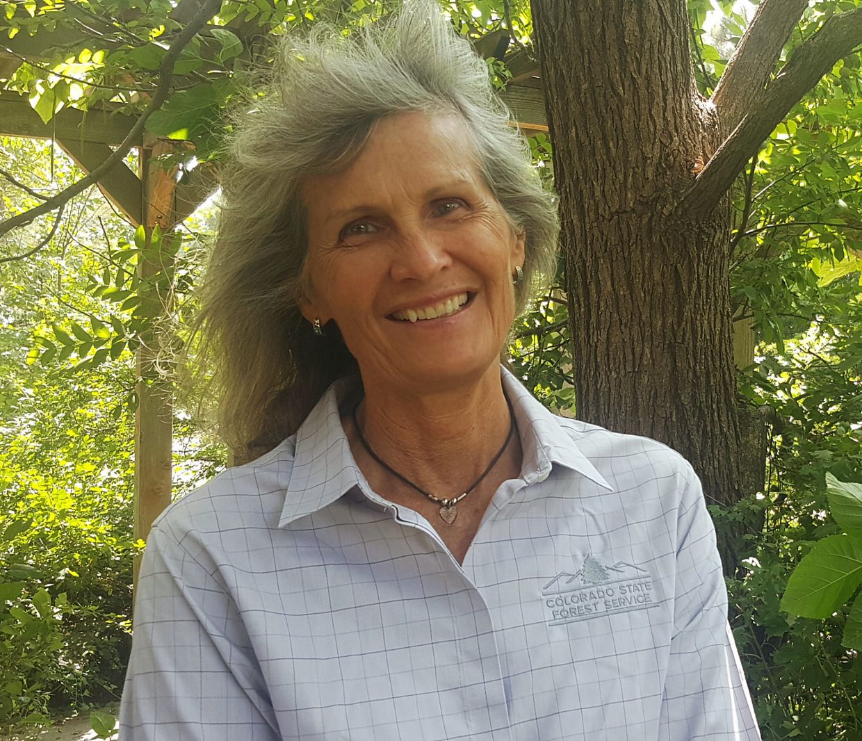 Colorado State Forest Service hires new community forester for eastern ...