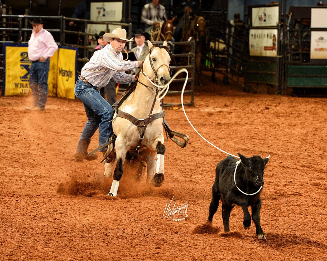 KeSa Quarter Horses to hold dispersal sale | TheFencePost.com